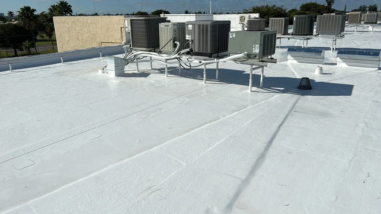 Commercial Roofing Types: Which System Is Right for Your Property ...